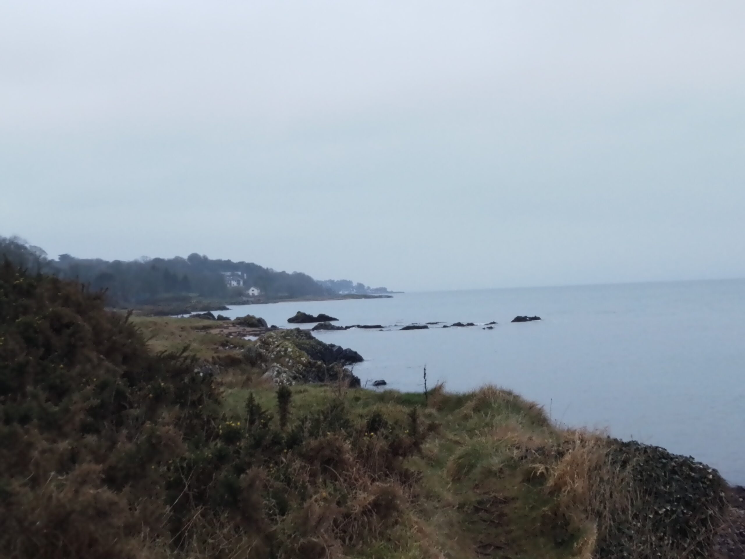 Mindful Moments: A Tranquil Transformation - Carolyn Chebaro